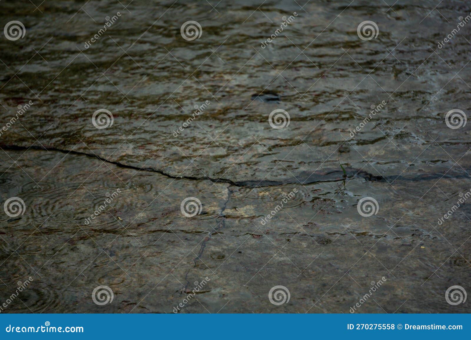 A Texture Has Been Created by the Accumulation of Rainwater on the ...