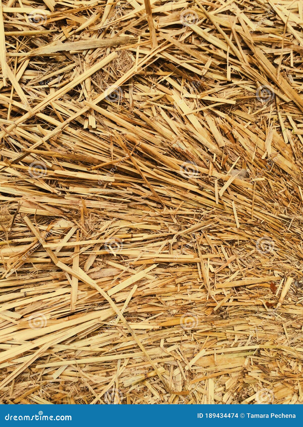 Texture of hay. Background stock photo. Image of organic - 189434474