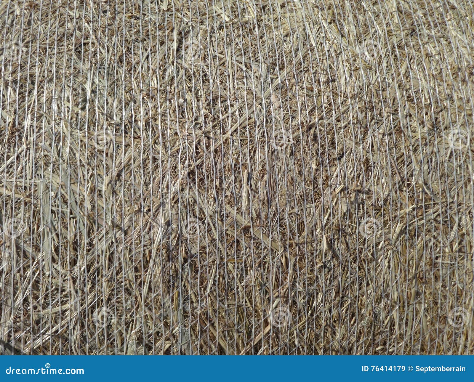 Texture of hay bale stock image. Image of farmland, fiber - 76414179