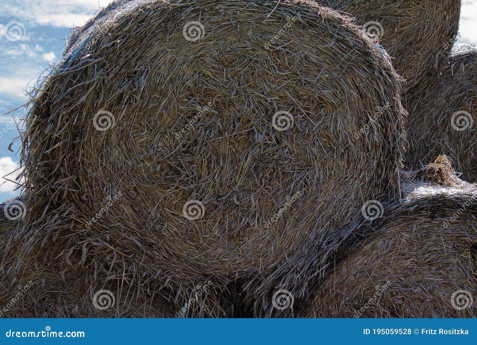 Texture hay bales stock photo. Image of crop, countryside - 195059528