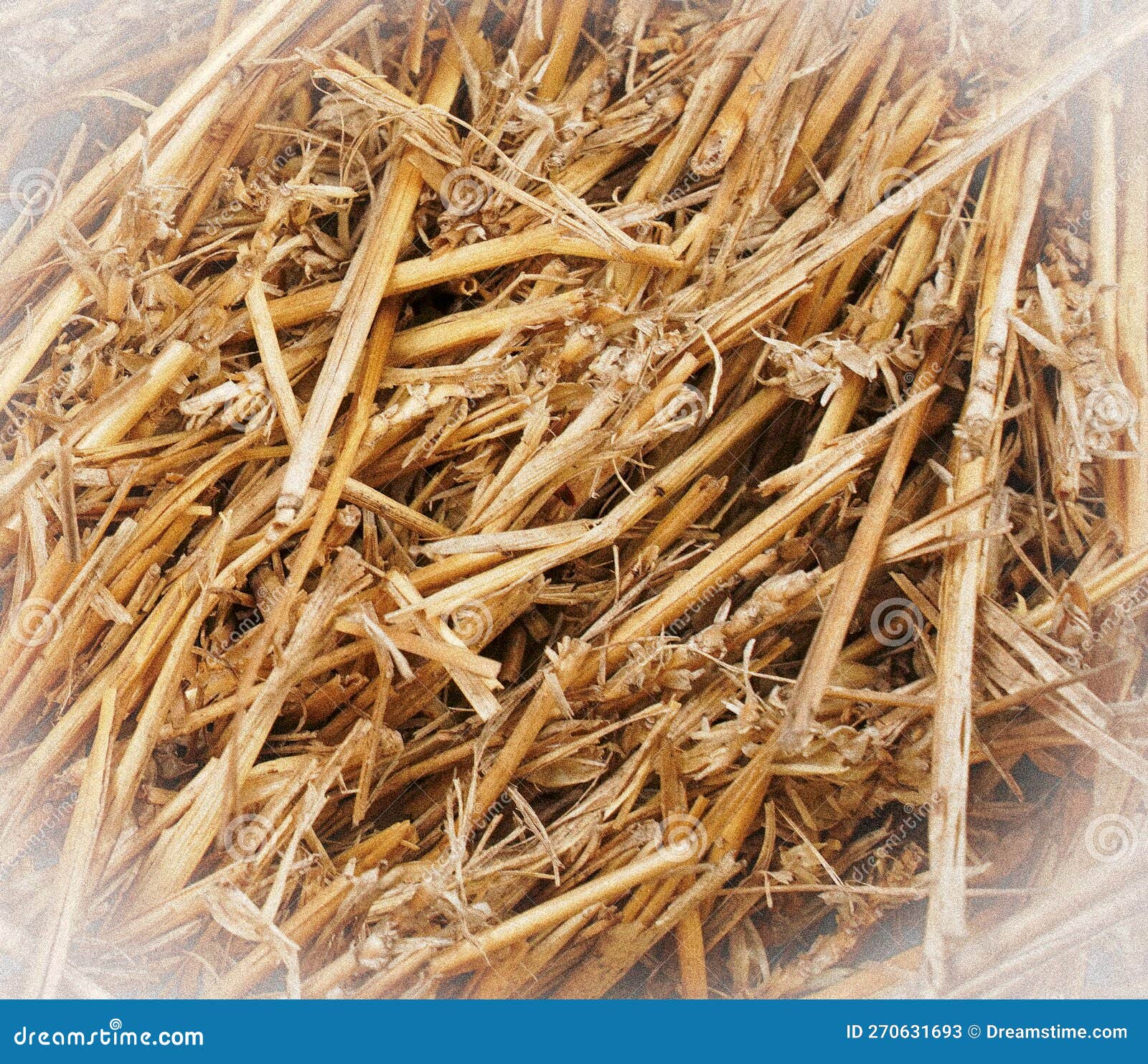 Texture of the Hay with Grunge Grain Vignetting. Stock Image - Image of ...