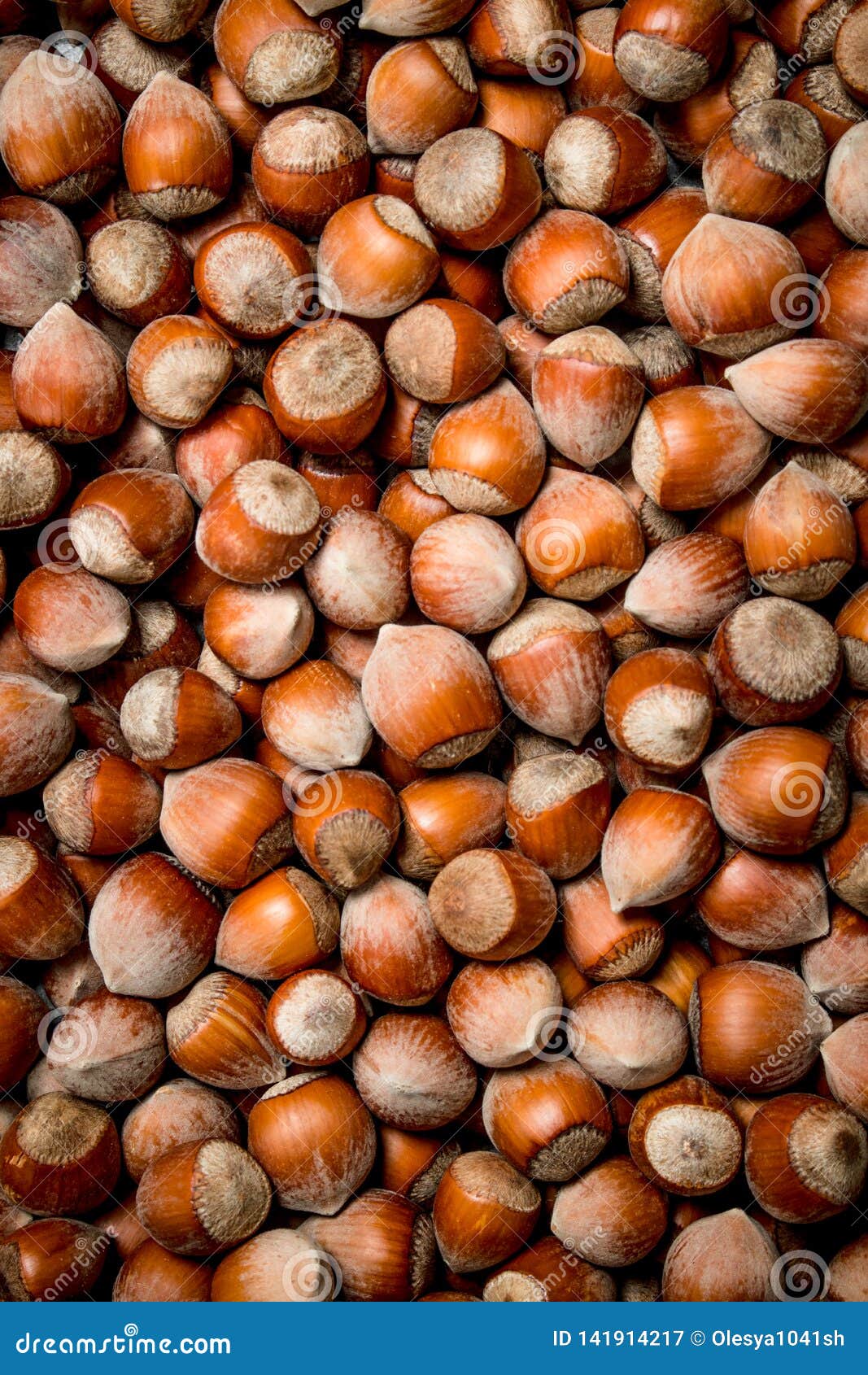 The Texture of the Hazelnut in Shell Stock Image - Image of hazel ...