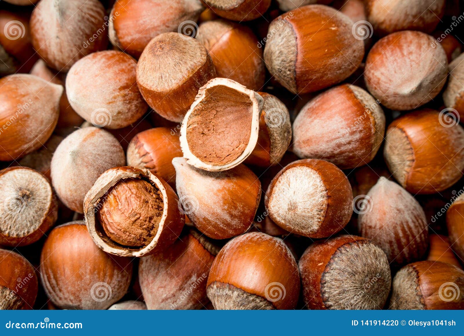 The Texture of the Hazelnut in Shell Stock Photo - Image of tasty, seed ...