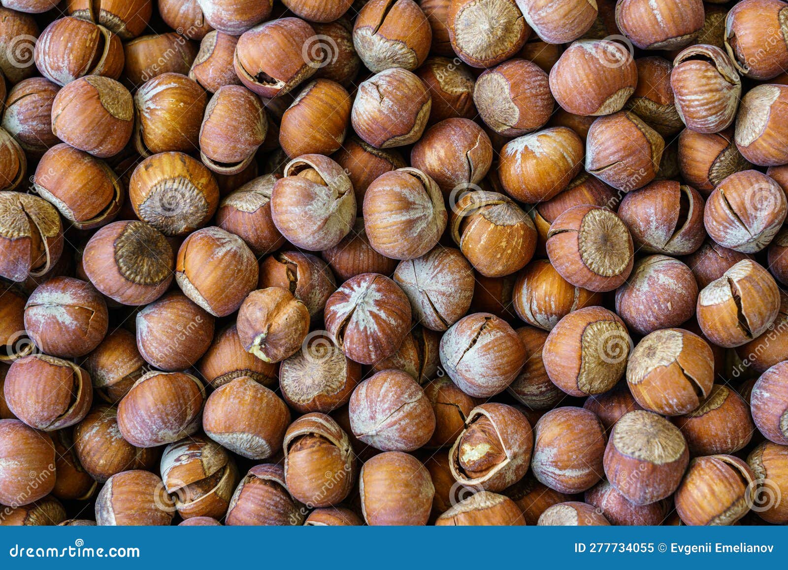The Texture of a Heap of Hazelnuts in the Shell. Background of Healthy ...