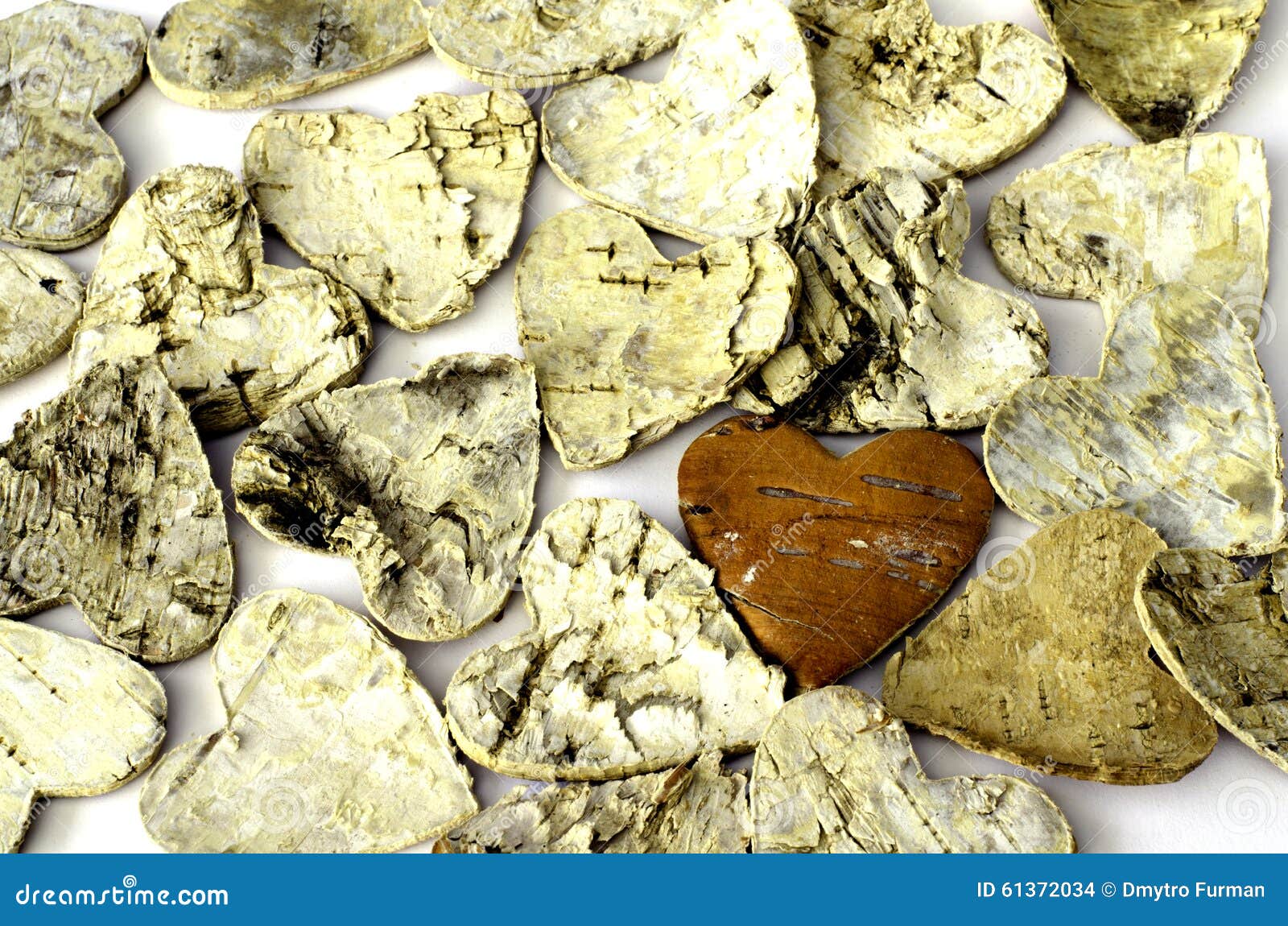 Texture Heart of Tree Bark. Stock Photo - Image of pattern, bark: 61372034