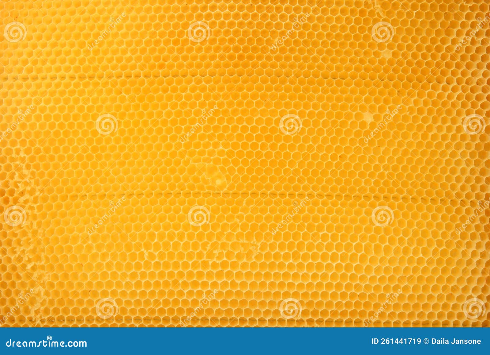 Texture of Honeycomb. Bright Yellow Honey Background Stock Illustration ...