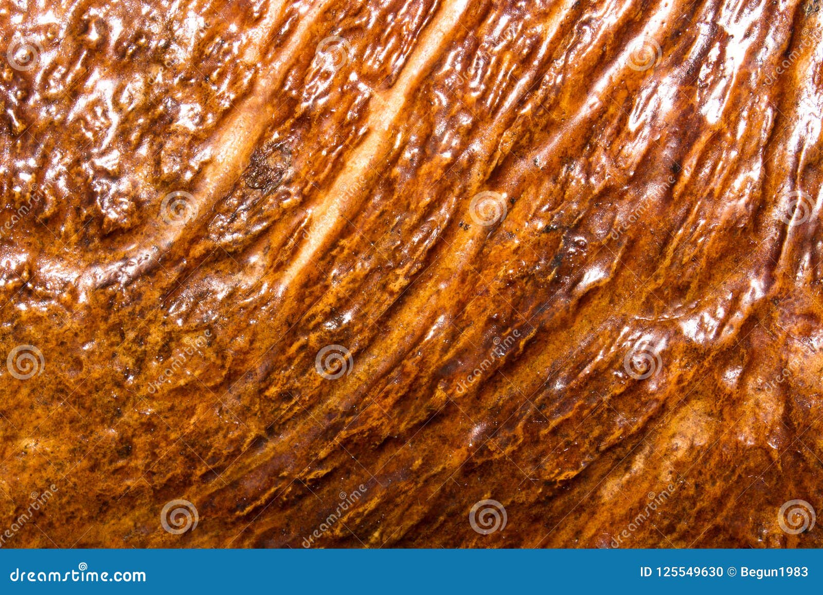 The Texture of the Horns of an Elk. Stock Photo - Image of ...