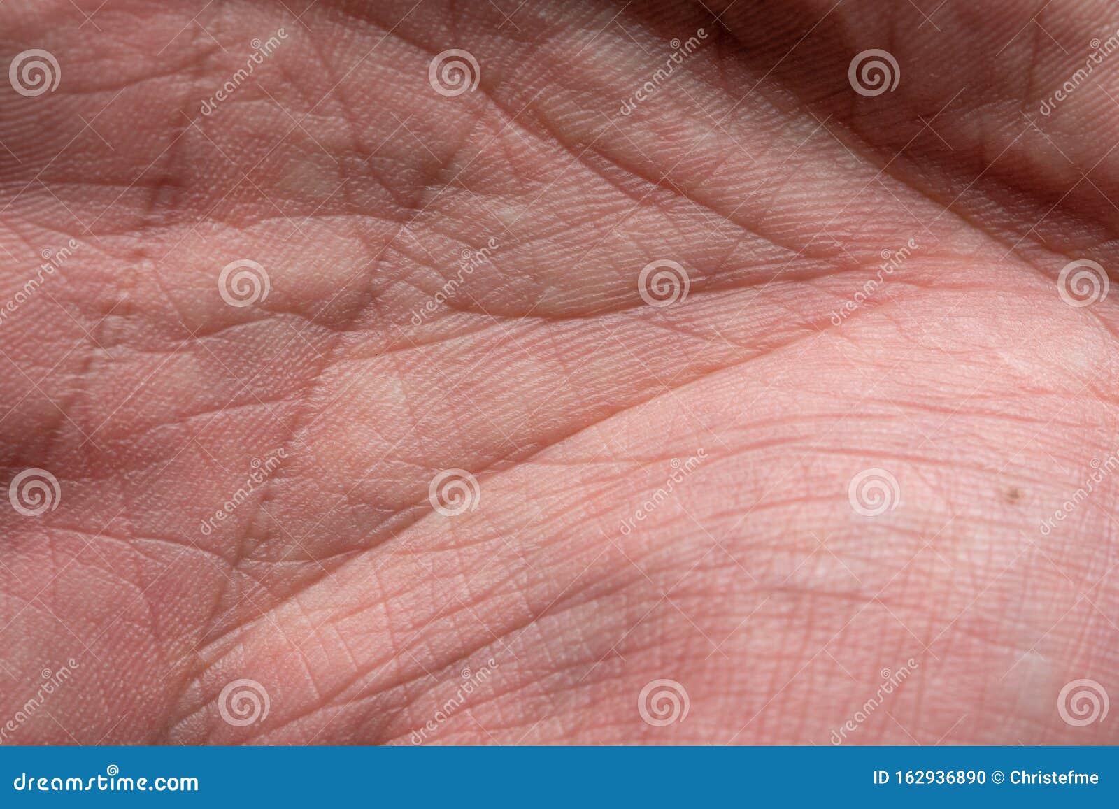 Texture of Human`s Palm with Wrinkles, Closeup Photo Stock Photo ...