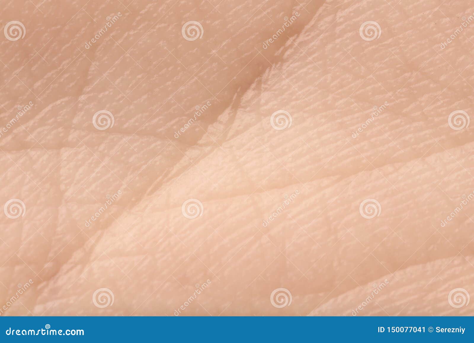 Texture of Human Skin, Closeup Stock Image - Image of covering ...
