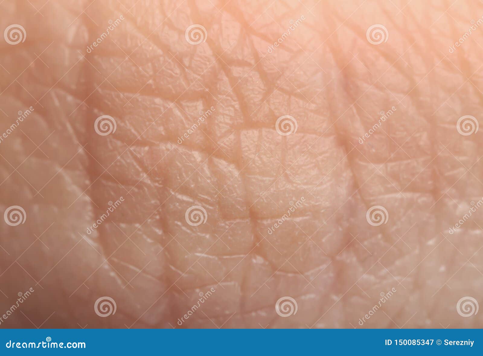 Texture of Human Skin, Closeup Stock Image - Image of sample, hygiene ...