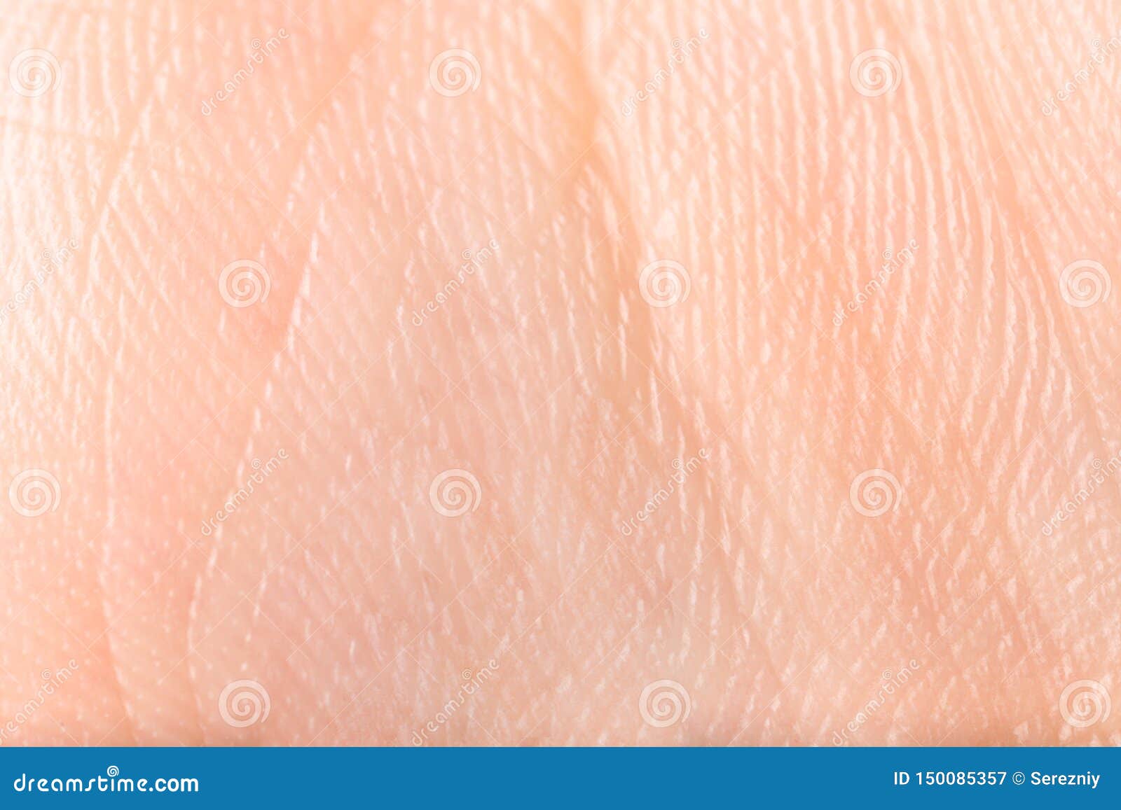 Texture of Human Skin, Closeup Stock Image - Image of dermatology ...