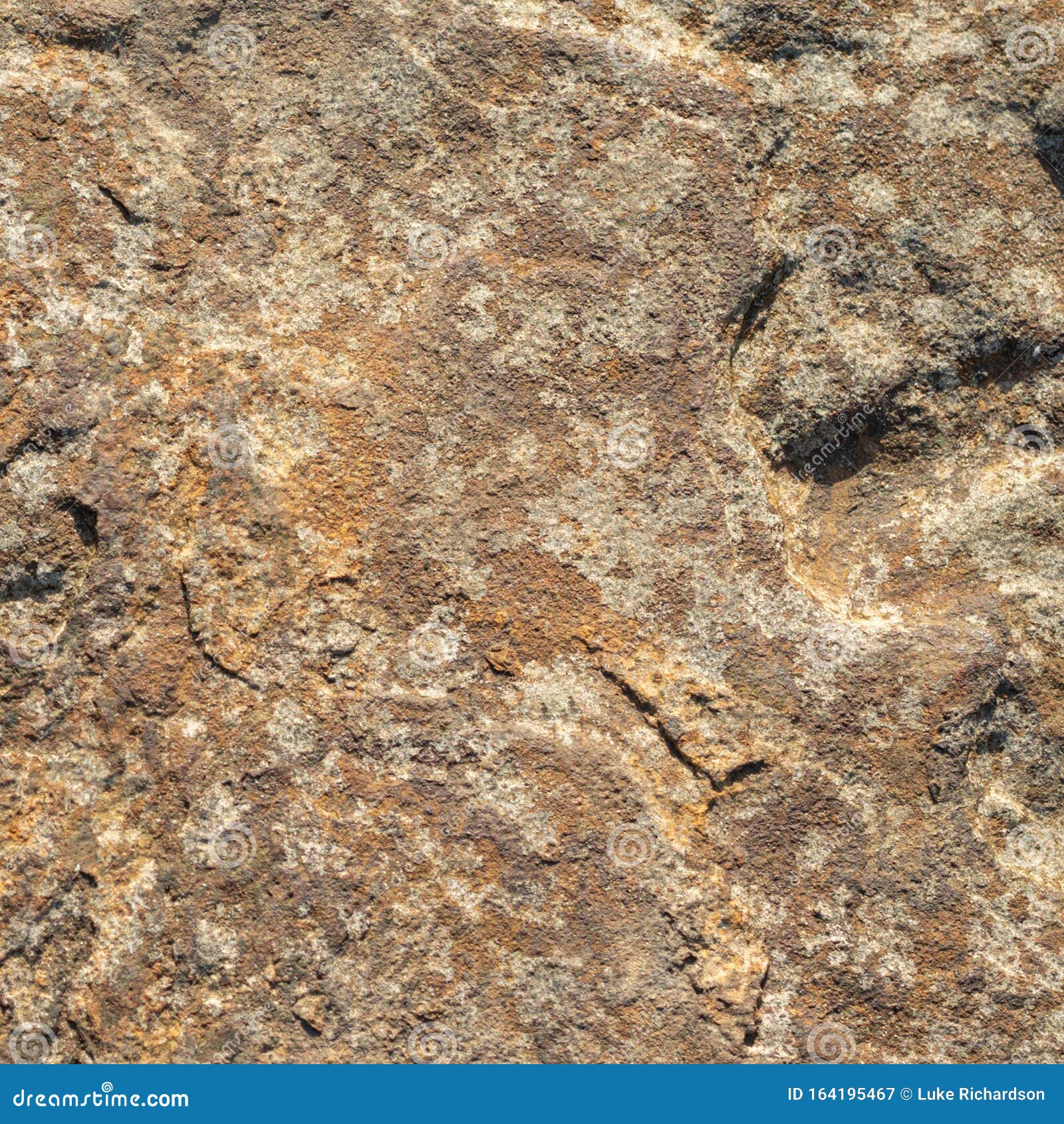 Stone/Rock Surface Texture stock image. Image of pattern - 164195467