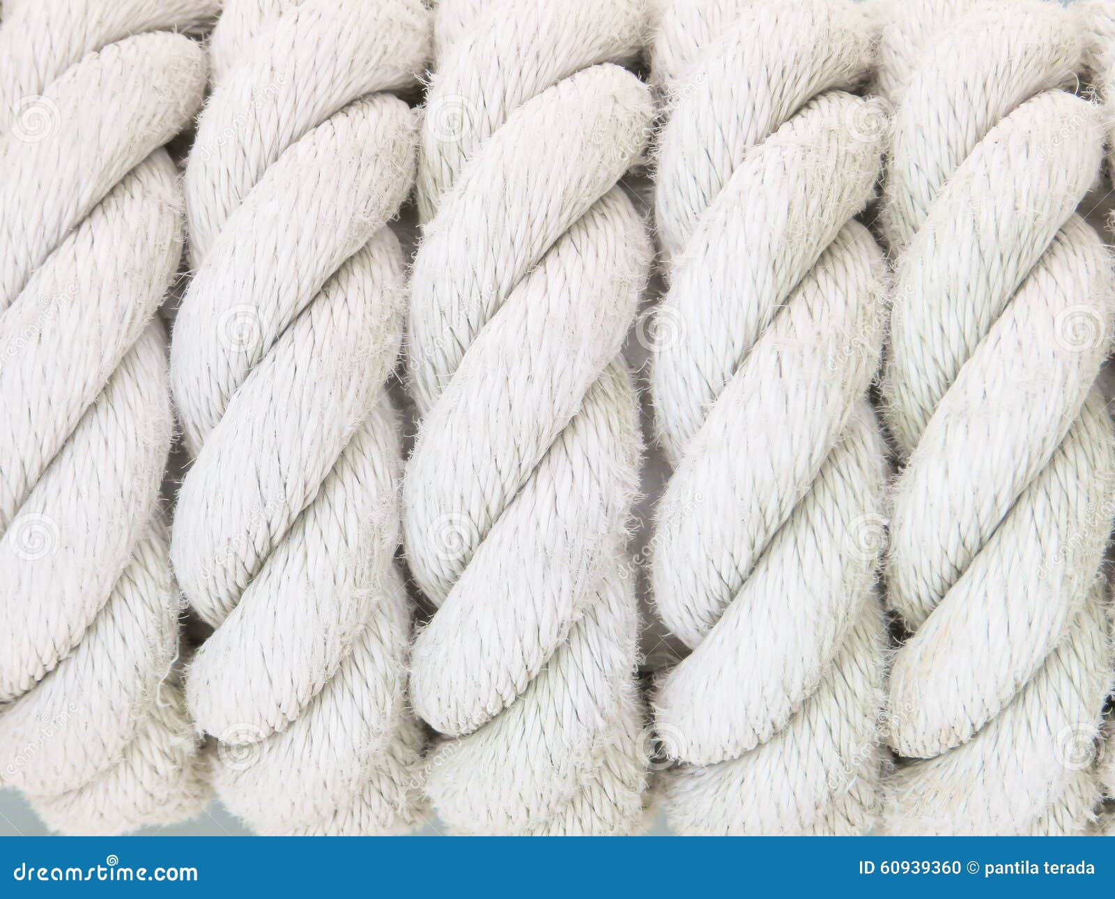 Texture Image of White Rope Stock Photo - Image of knot, curves: 60939360