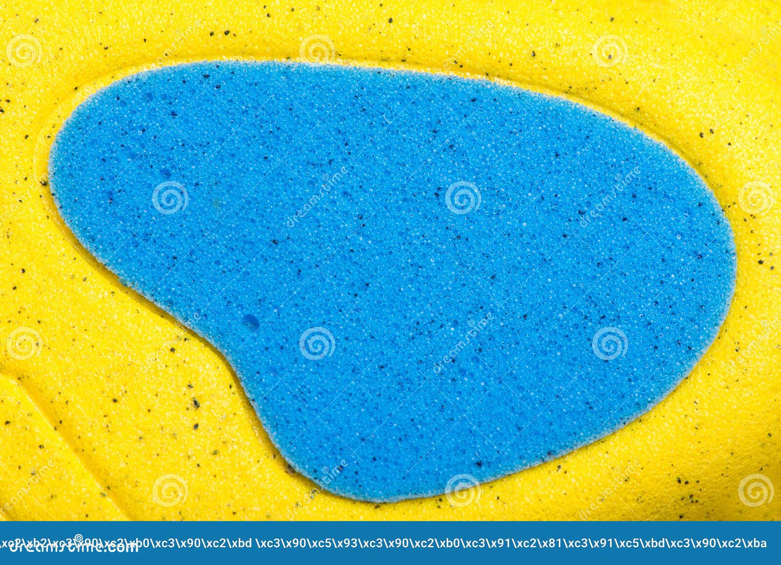 Texture Orthopedic Insoles. Insoles Close Up Stock Image - Image of ...