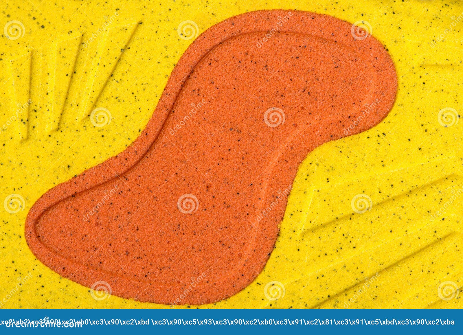 Texture Orthopedic Insoles. Insoles Close Up Stock Photo - Image of ...