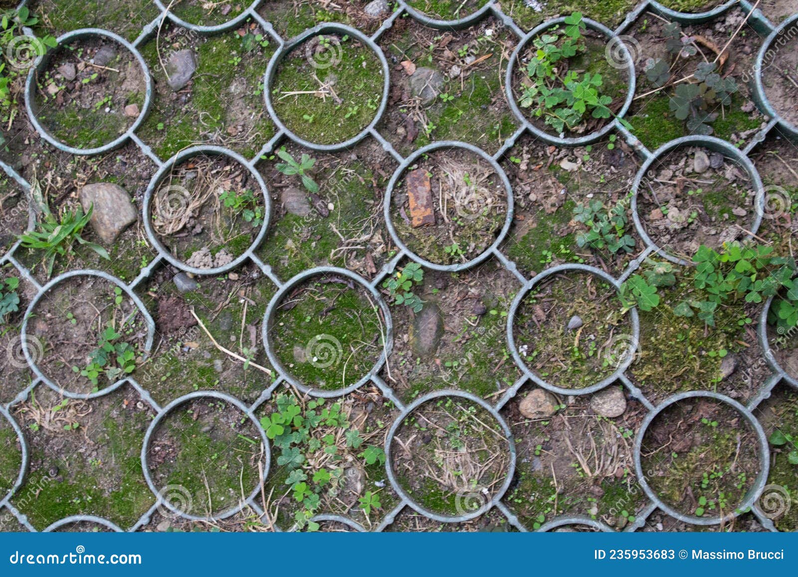 Texture of Circular Shaped Plastic Shapes Stock Image - Image of ...