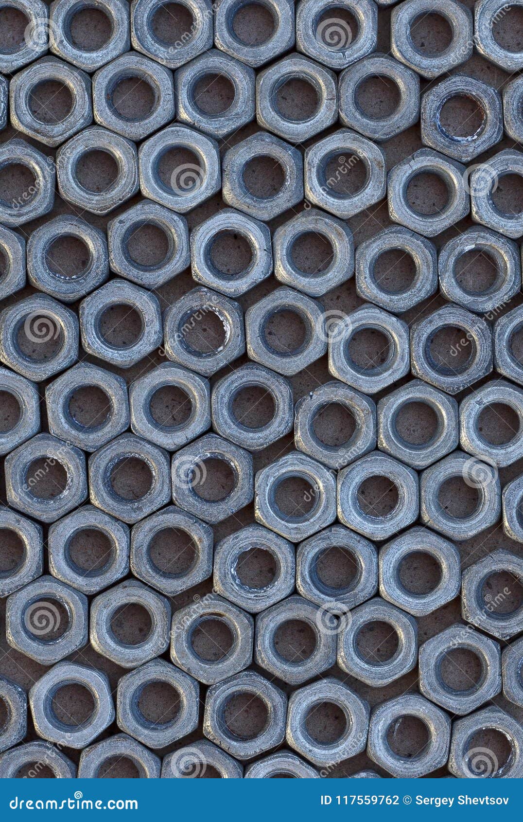 Texture of nuts stock photo. Image of texture, circle - 117559762