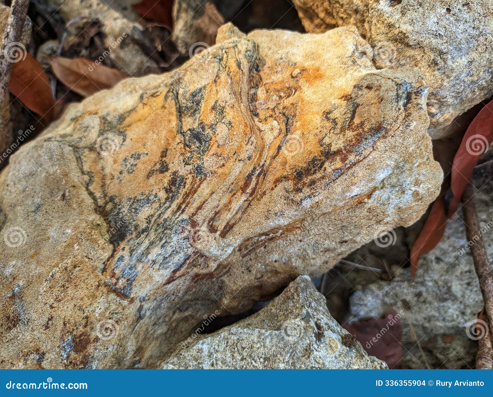 The Texture of Karst Rocks with Their Unique Surface and Color ...