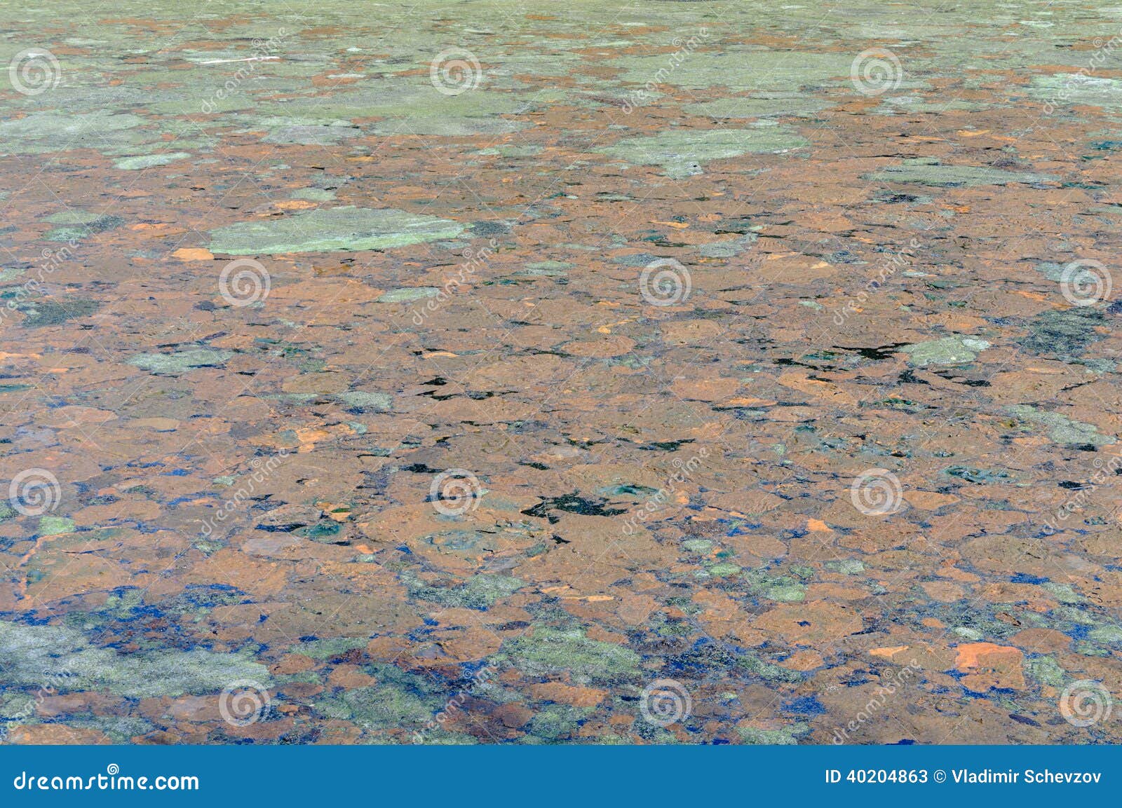 Texture the Lake Water is Contaminated with Bacteria Surface Stock ...