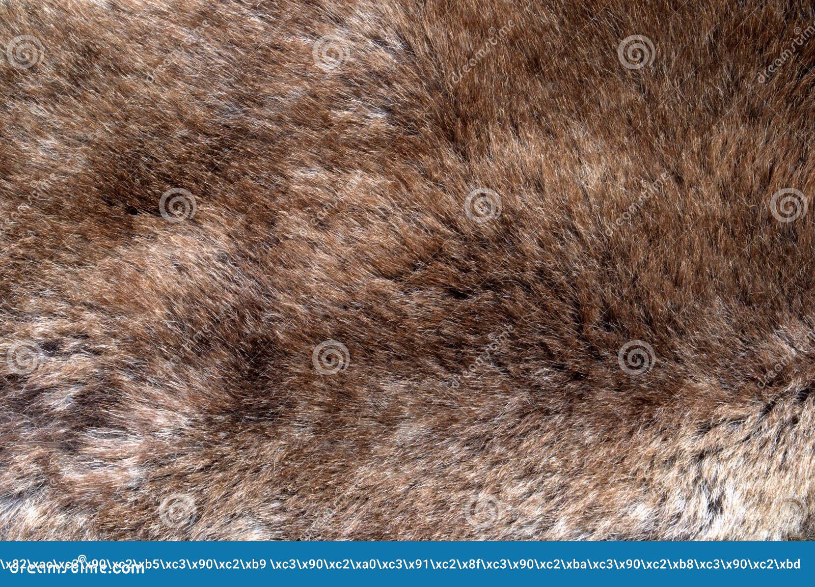 The texture of lamb fur. stock photo. Image of textile - 225845368