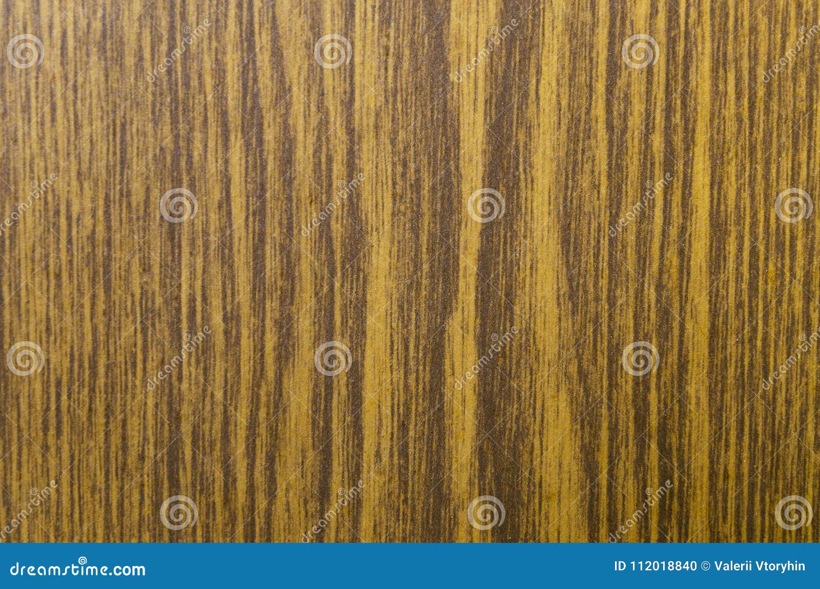 Texture of a Laminate Under a Tree. Stock Photo - Image of panel ...