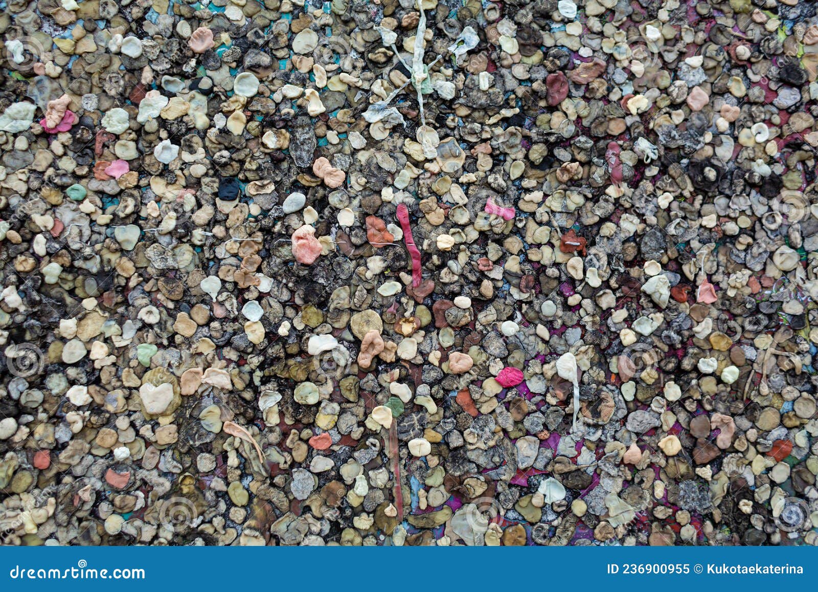The Texture of the Landmark Berlin Wall is Covered with Chewing Gum ...