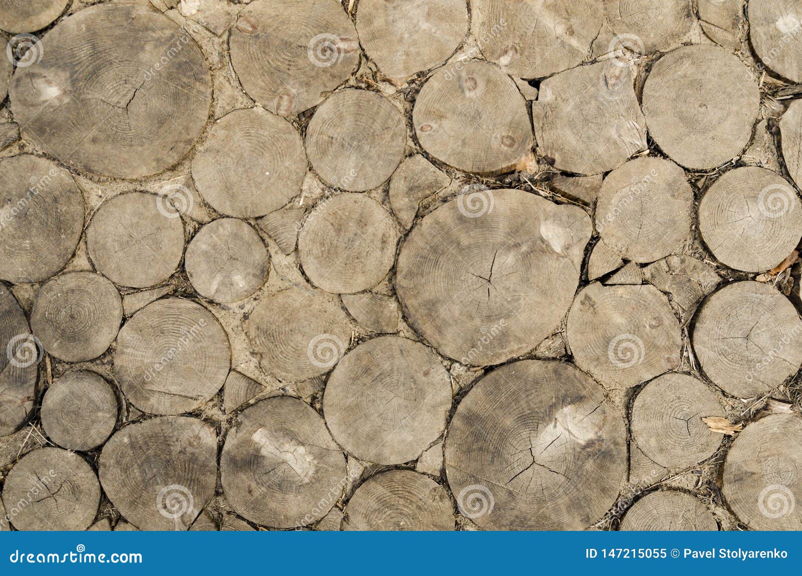 Texture Large Circular Piece of Wood Stock Image - Image of orange ...