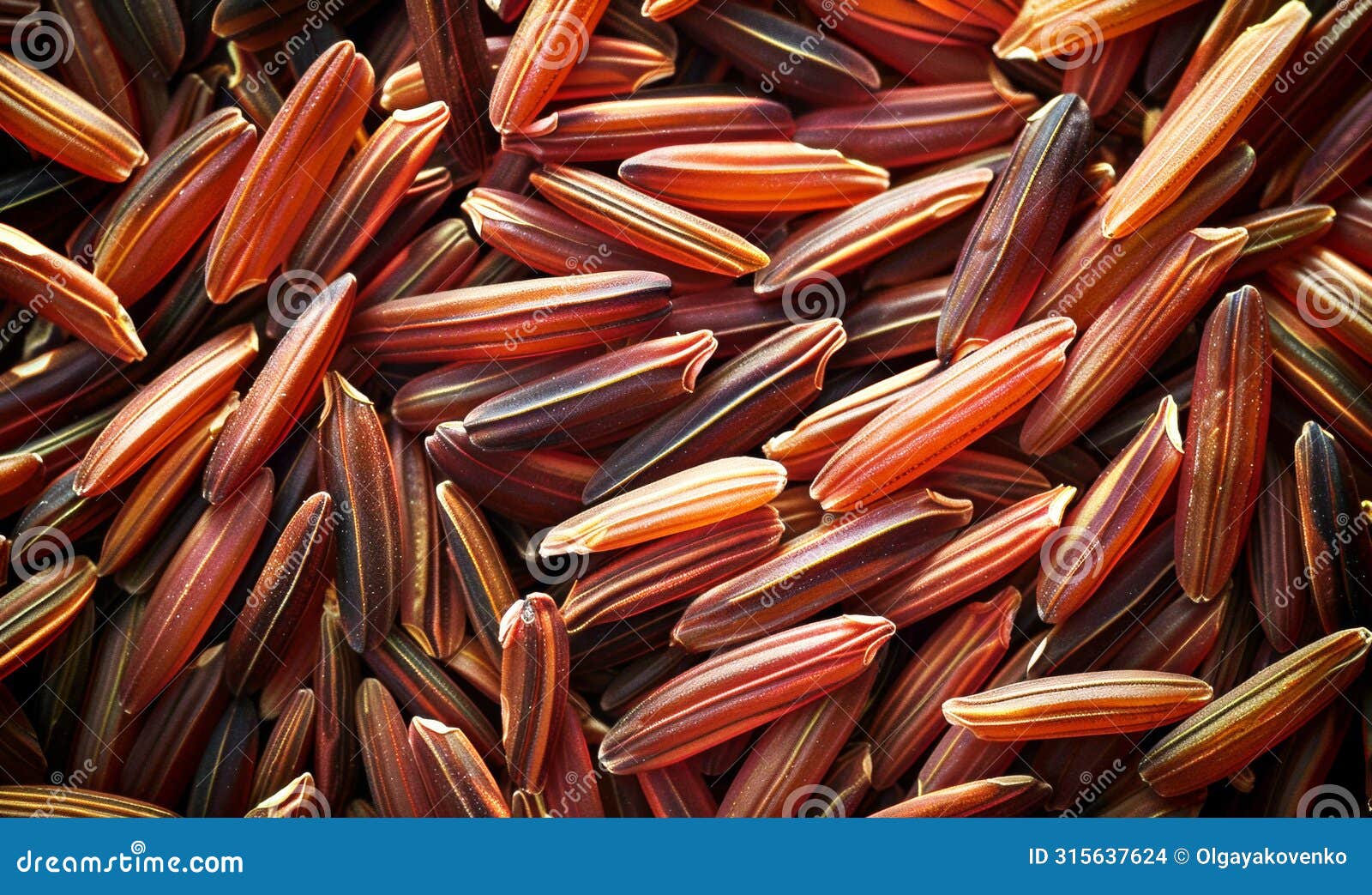 Texture of Large Grains of Brown Rice, Proper Healthy Eating Stock ...