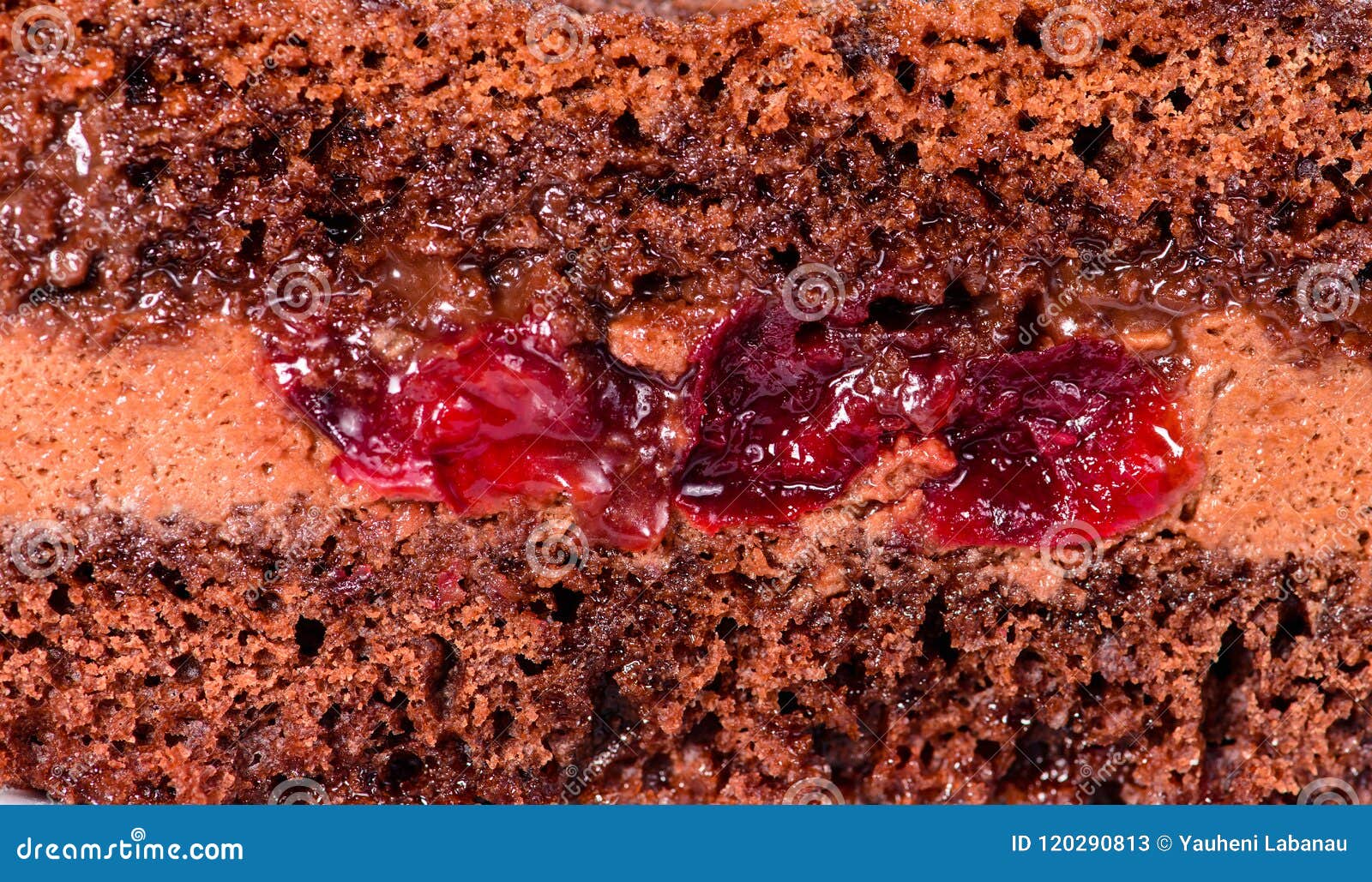Texture Layer Of Chocolate Cake With Cream. Close-up Stock Image ...
