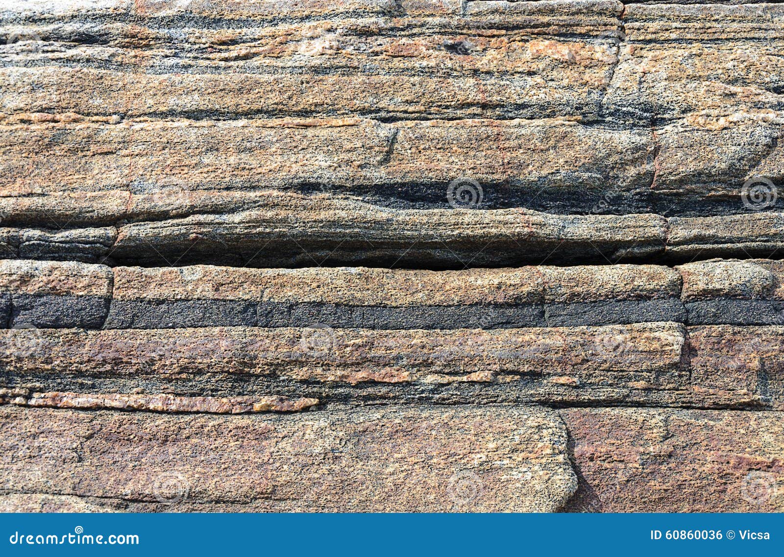 Texture of layered rock stock photo. Image of seashore - 60860036