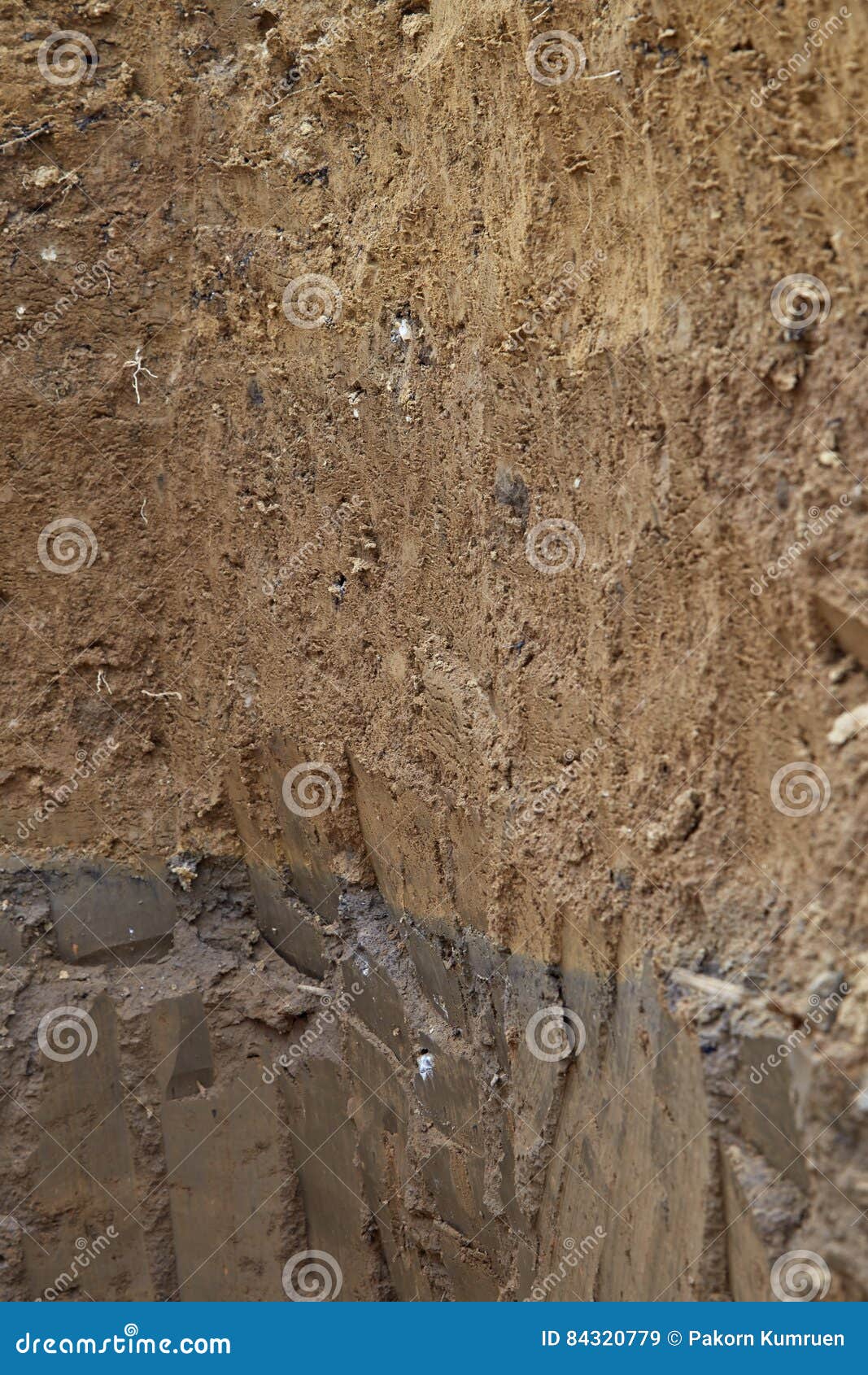 Layered Soil Geology Cross Section Underground Earth, Cutaway Earth ...