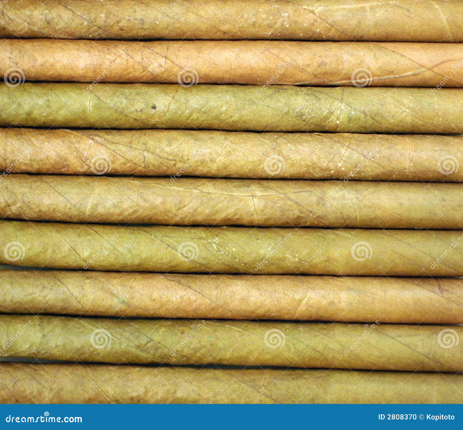 Texture leaf tobacco cigar stock photo. Image of nicotiana - 2808370