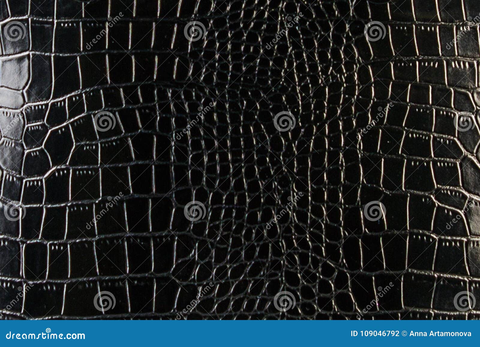 Black Patent Leather Texture