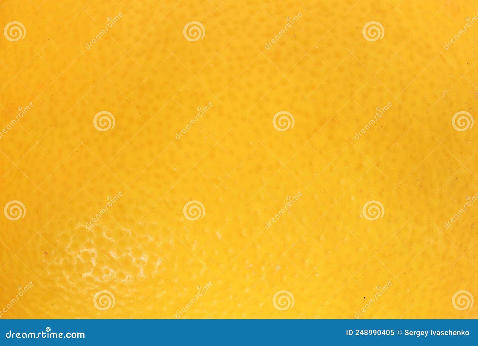 Texture of lemon peel. stock image. Image of orange - 248990405