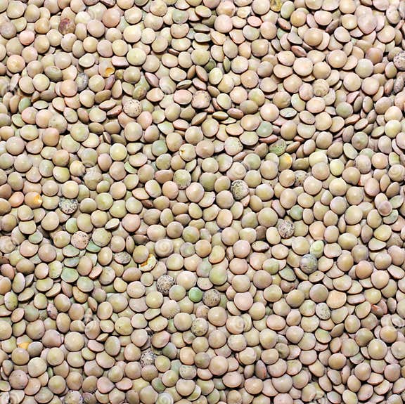 Texture of lentils stock photo. Image of healthy, edible - 43010118