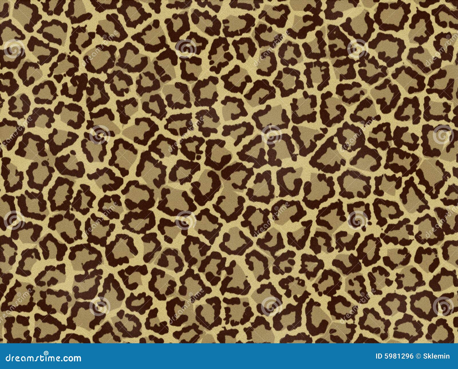 Texture Leopard Picture. Image: 5981296