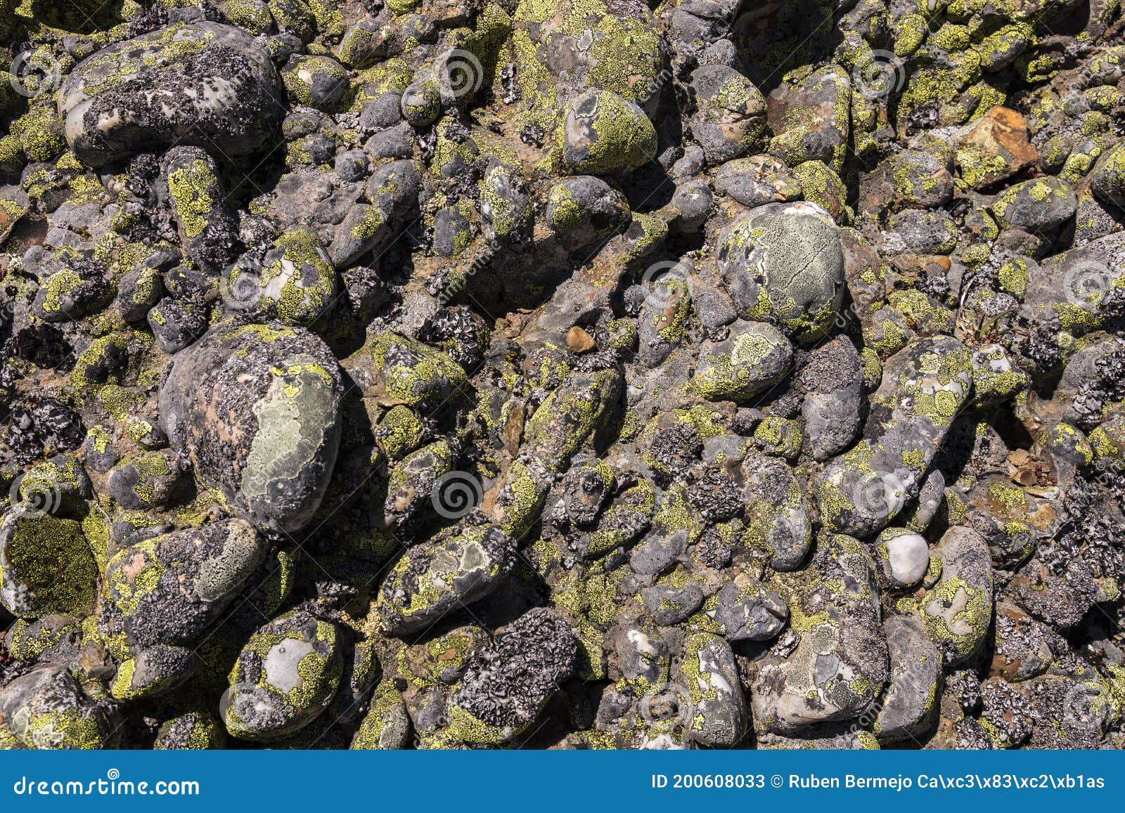 Texture of Lichen-covered Granite Embedded Rolling Rocks Stock Image ...