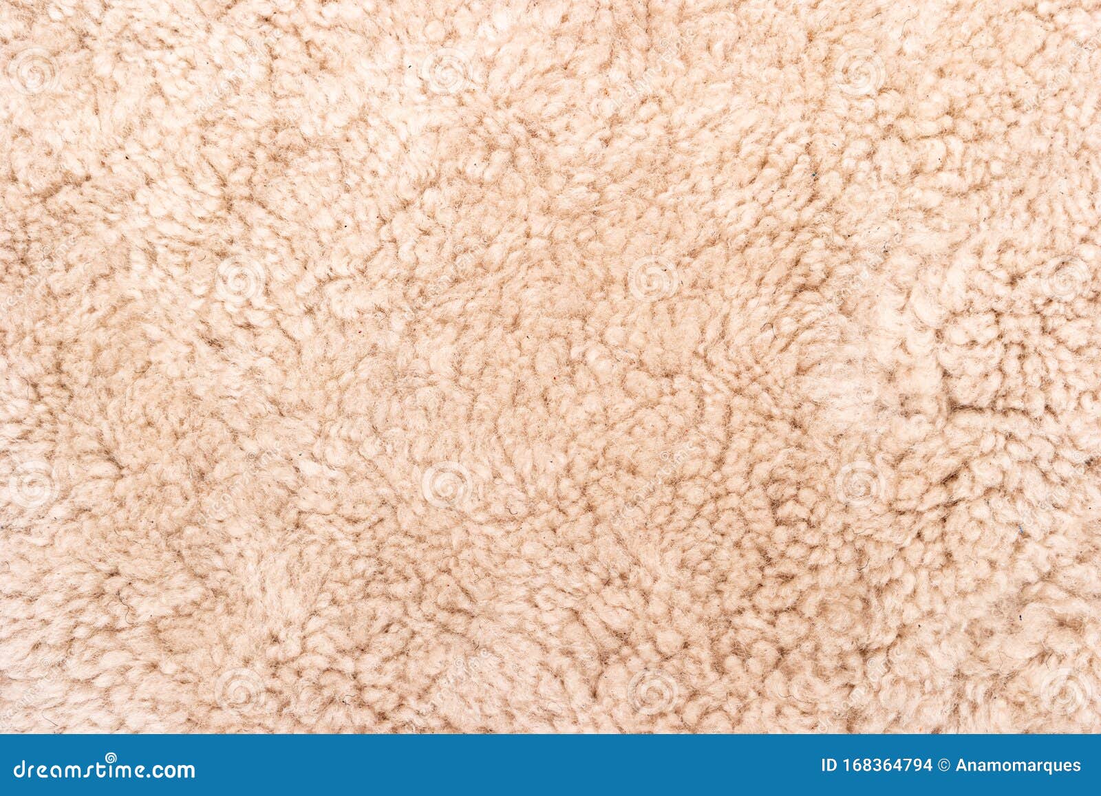 The Texture of the Light Beige Carpet is a Synthetic Carpet. Texture ...
