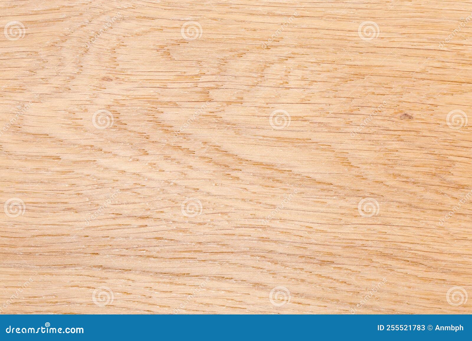 Texture of the Light Colored Oak Plank, Close-up Stock Image - Image of ...