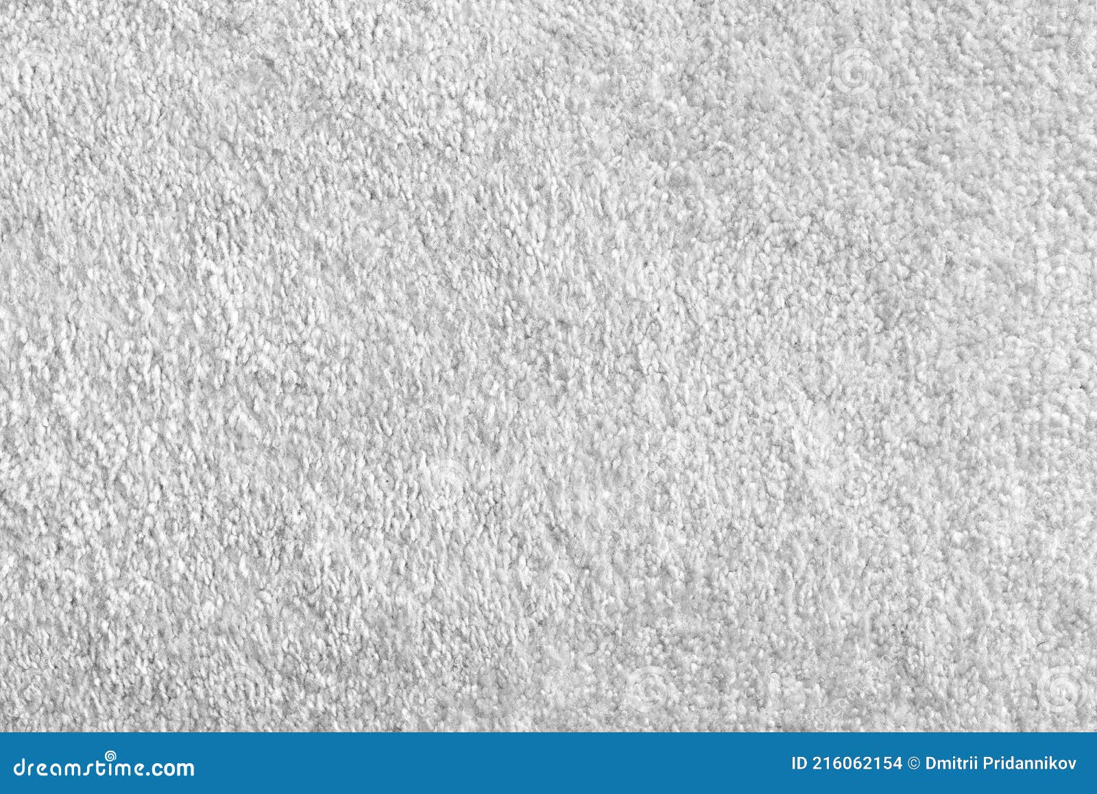 The Texture of the Light Gray Carpet is a Synthetic Carpet. Light ...