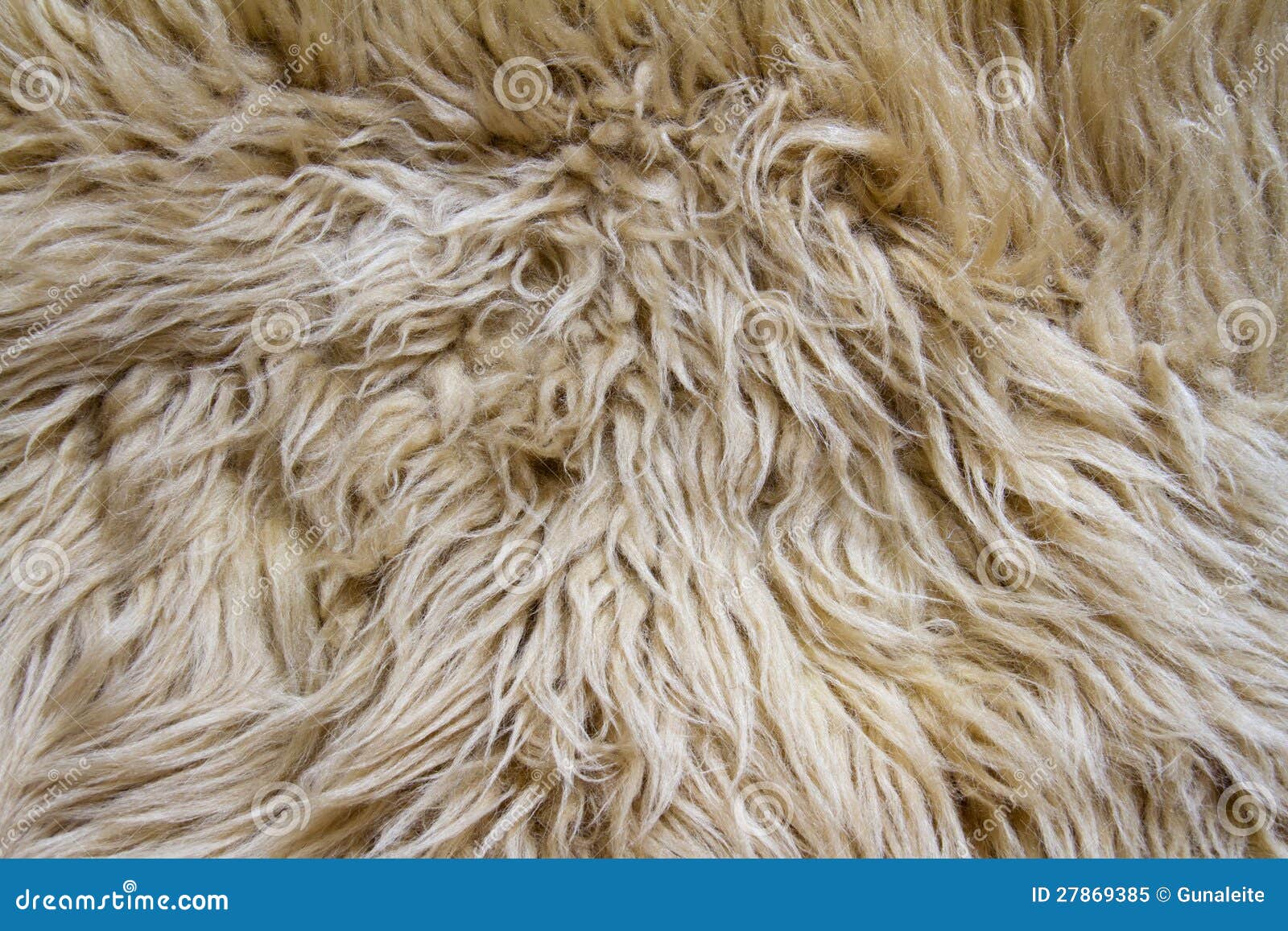 Texture of light pelt stock image. Image of light, pelt - 27869385