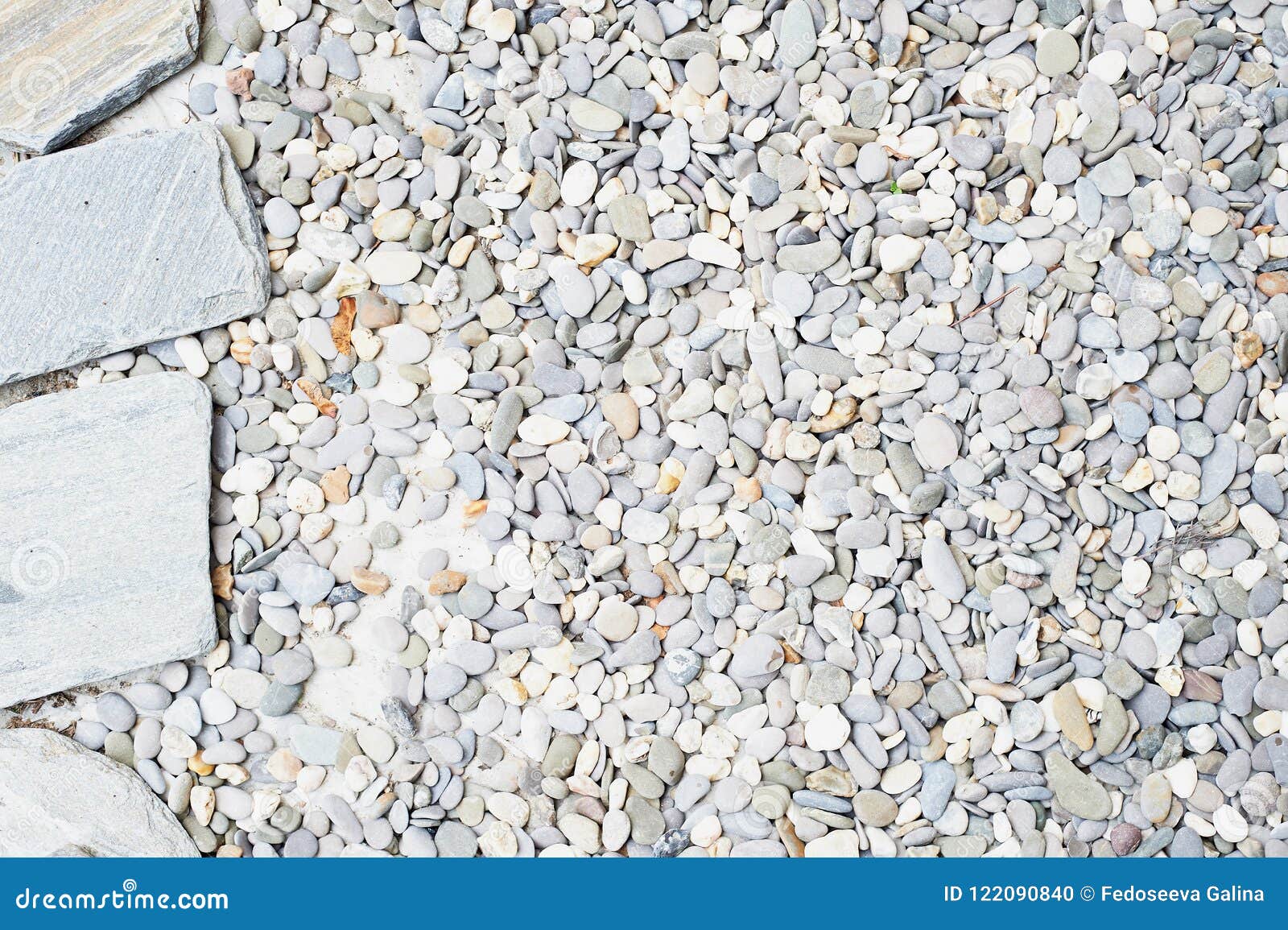 Texture of Light Sea Pebbles.Pebbles, Garden and Decor Stock Photo ...