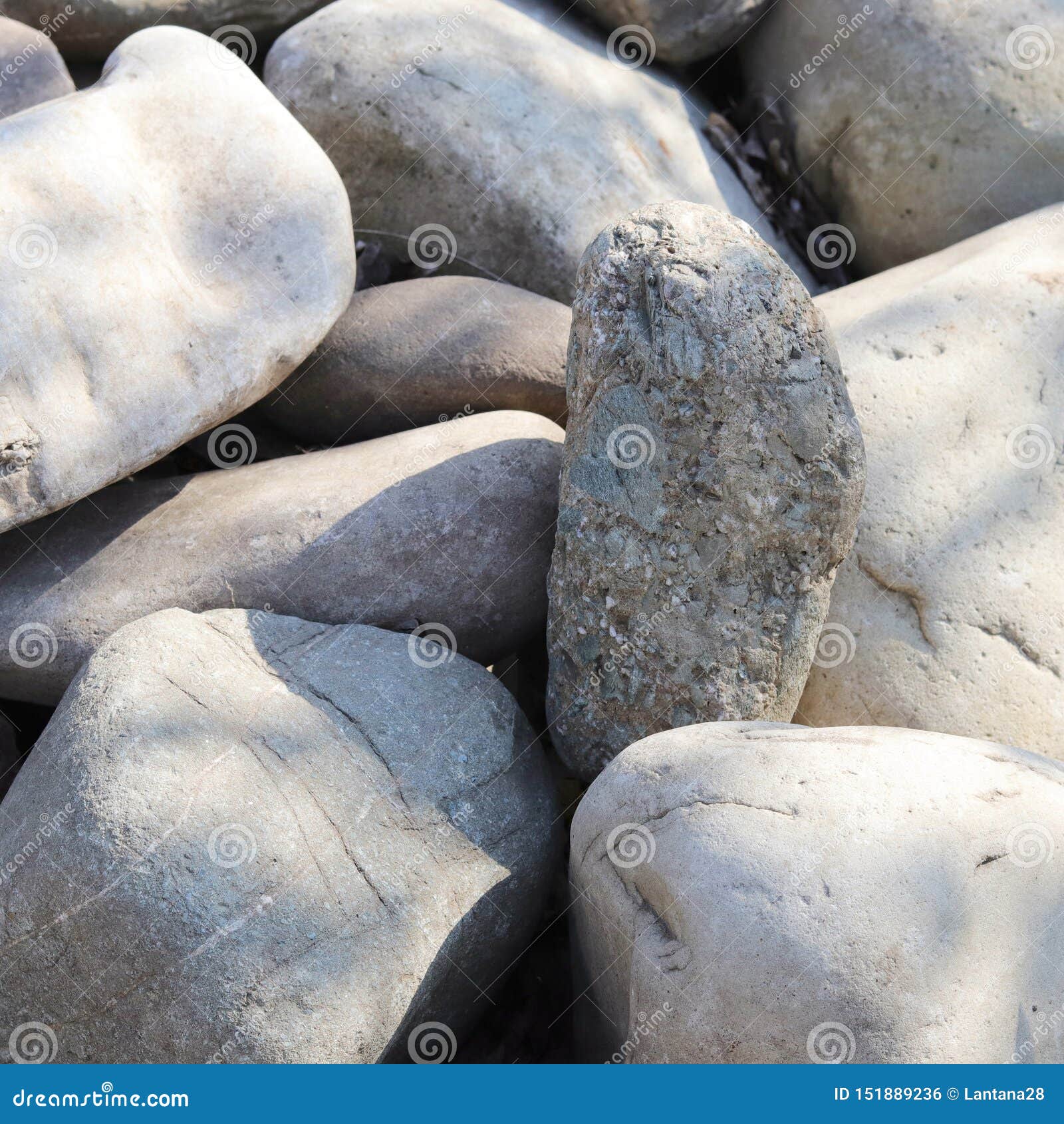 Texture of Light Smooth Large Sea Stones Stock Photo - Image of texture ...