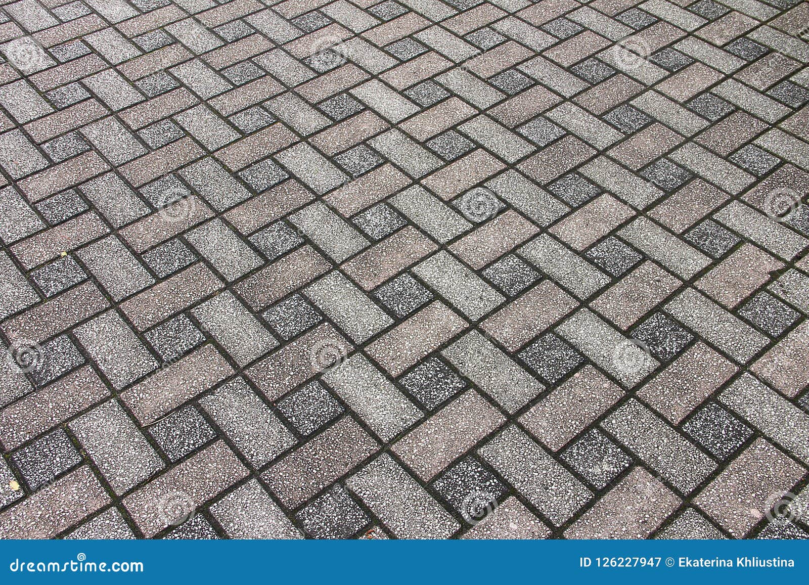 Texture: Light Street Paving Slabs of Rectangular Shape. Stock Image ...