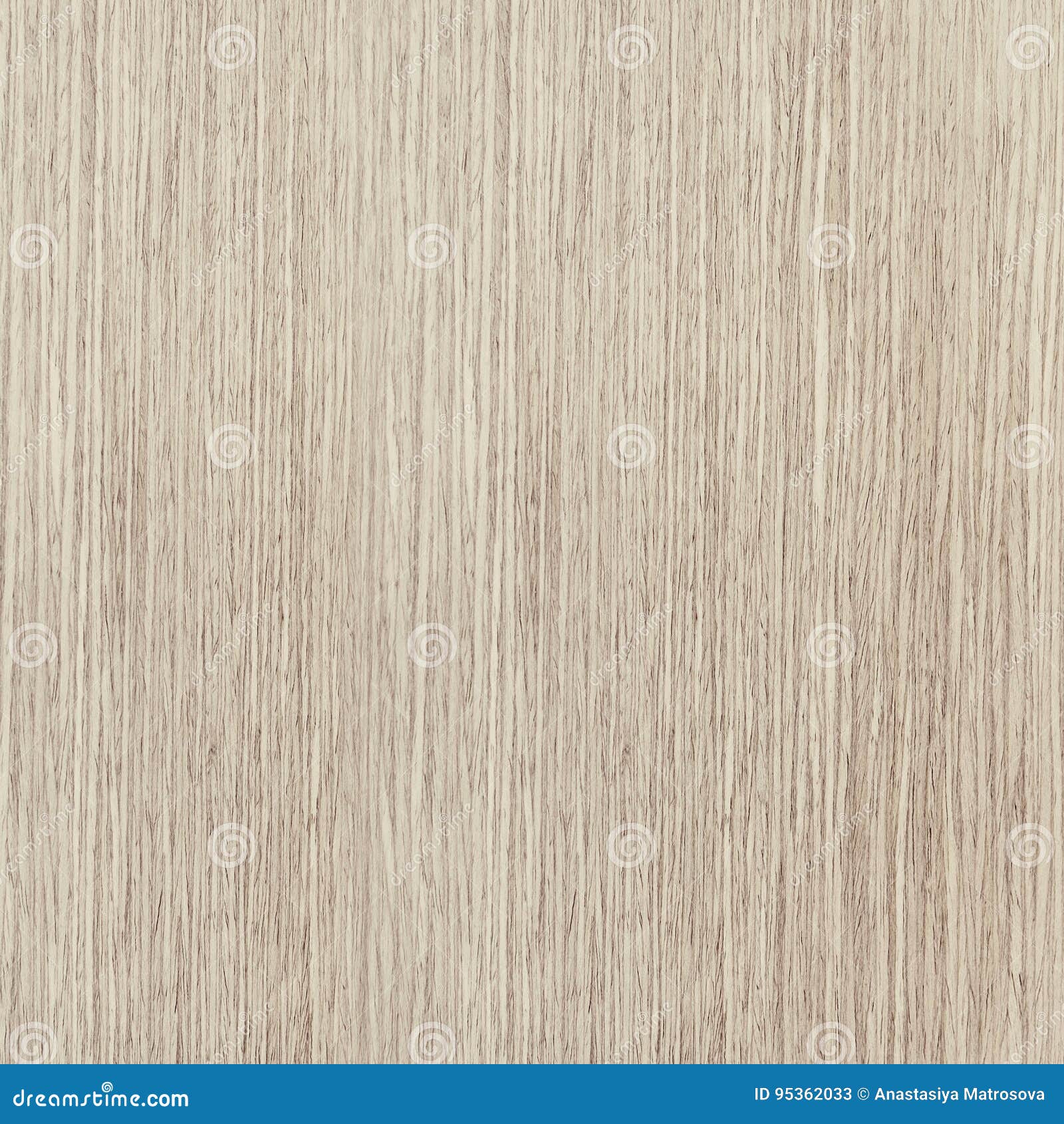 The Texture is Light Veneer Close Up. Wood Texture Stock Image - Image ...