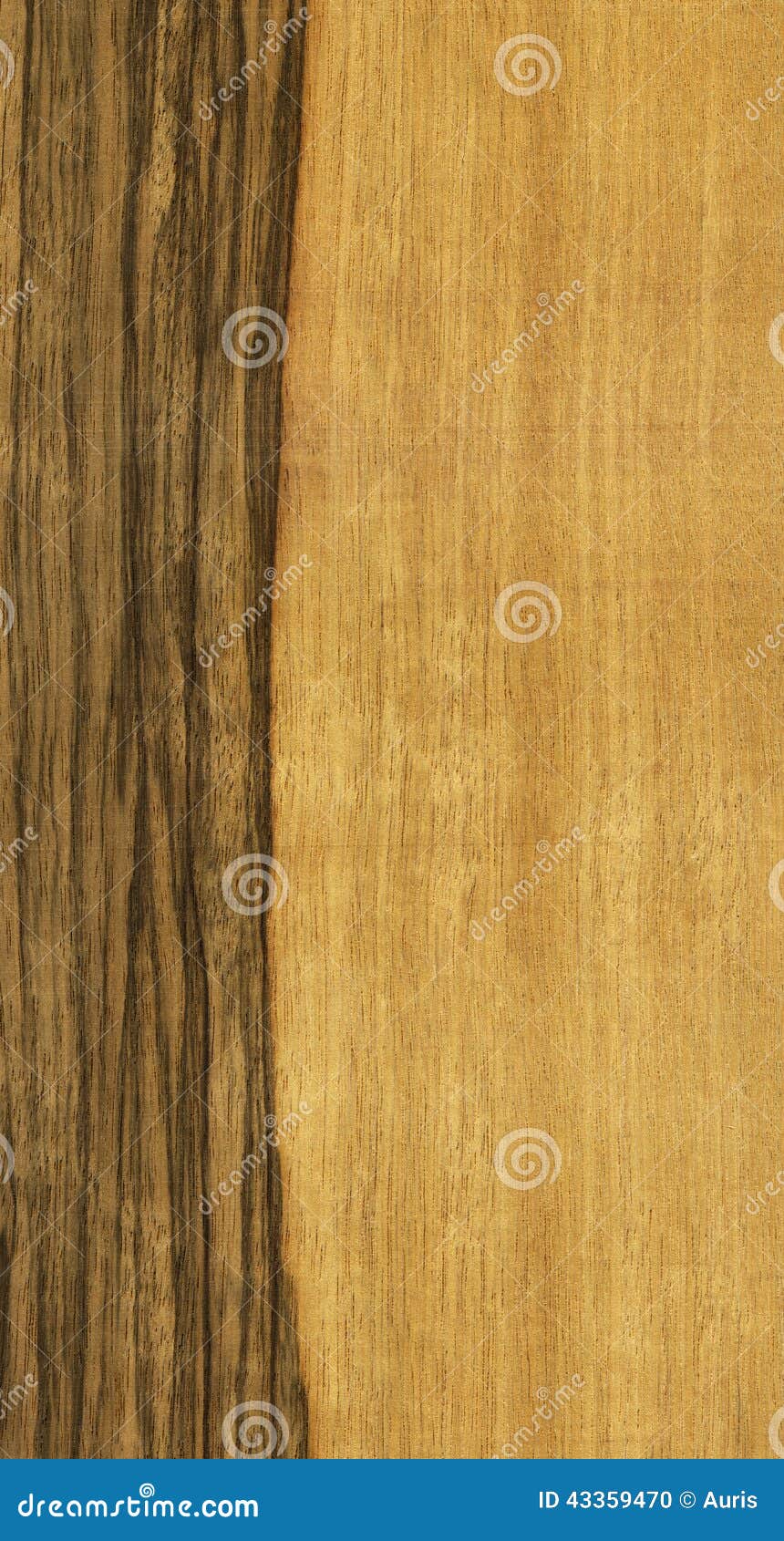 Texture of limba tree stock photo. Image of resolution - 43359470