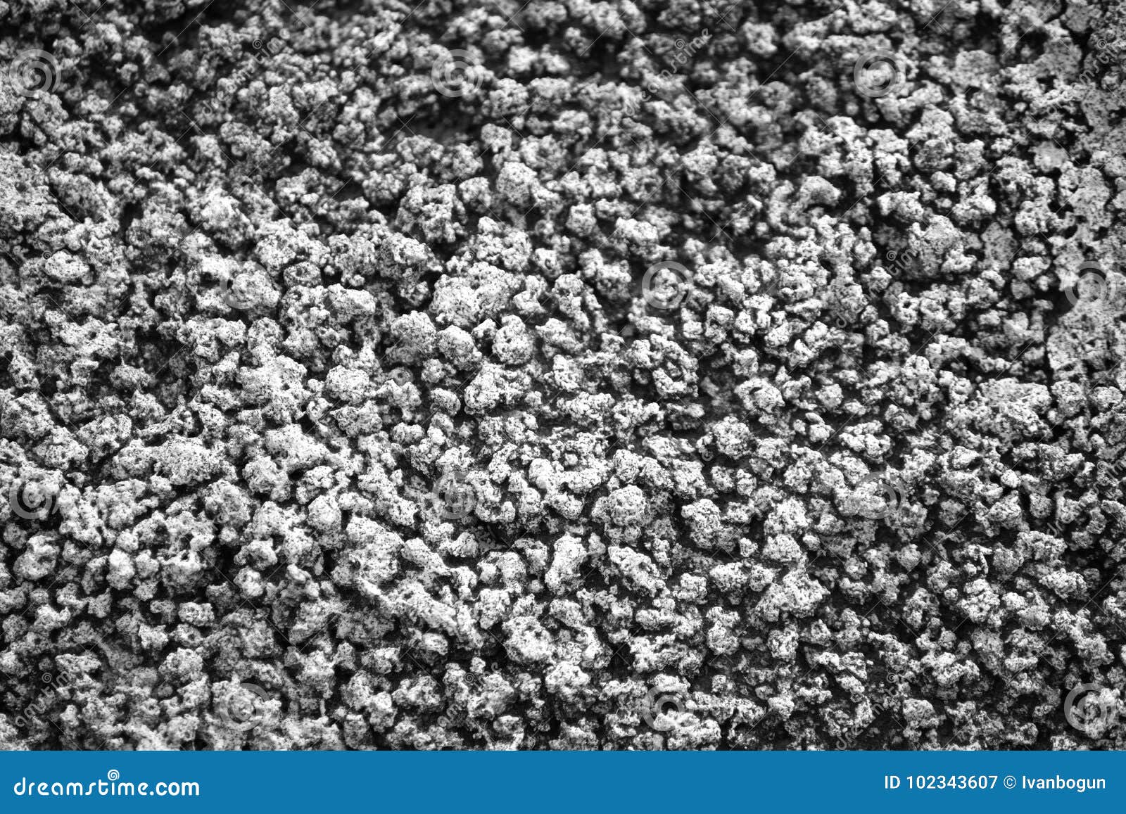 The Texture of Limestone and Lime Stock Image - Image of background ...