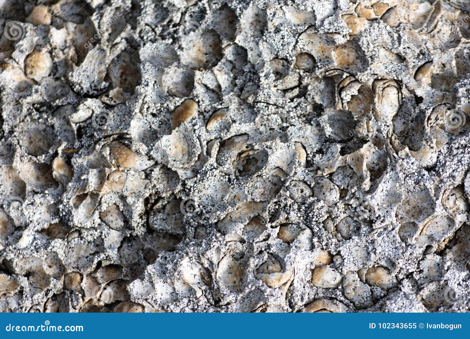 The Texture of Limestone and Lime Stock Image - Image of background ...