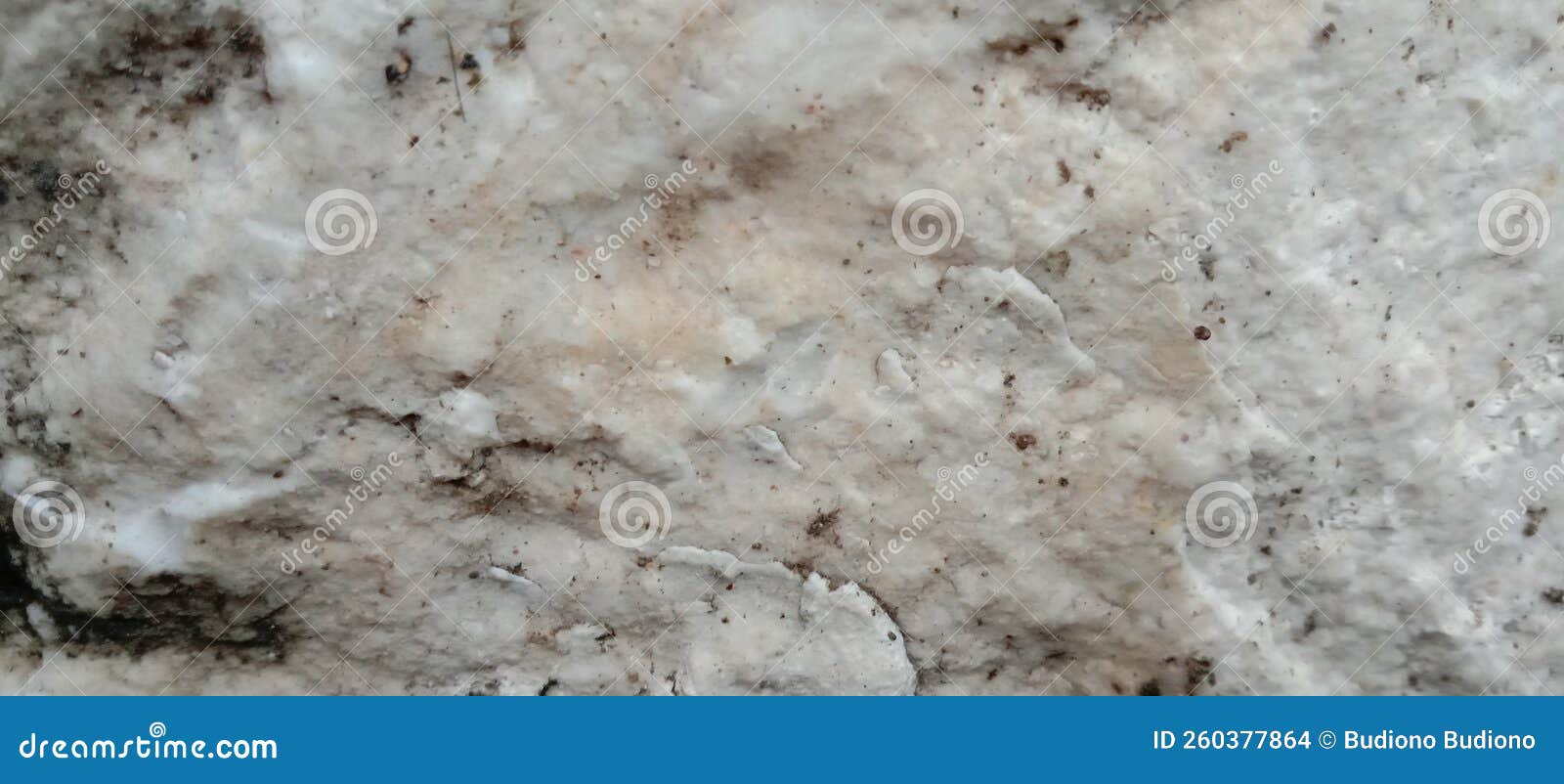 Texture limestone stock photo. Image of dessert, snow - 260377864