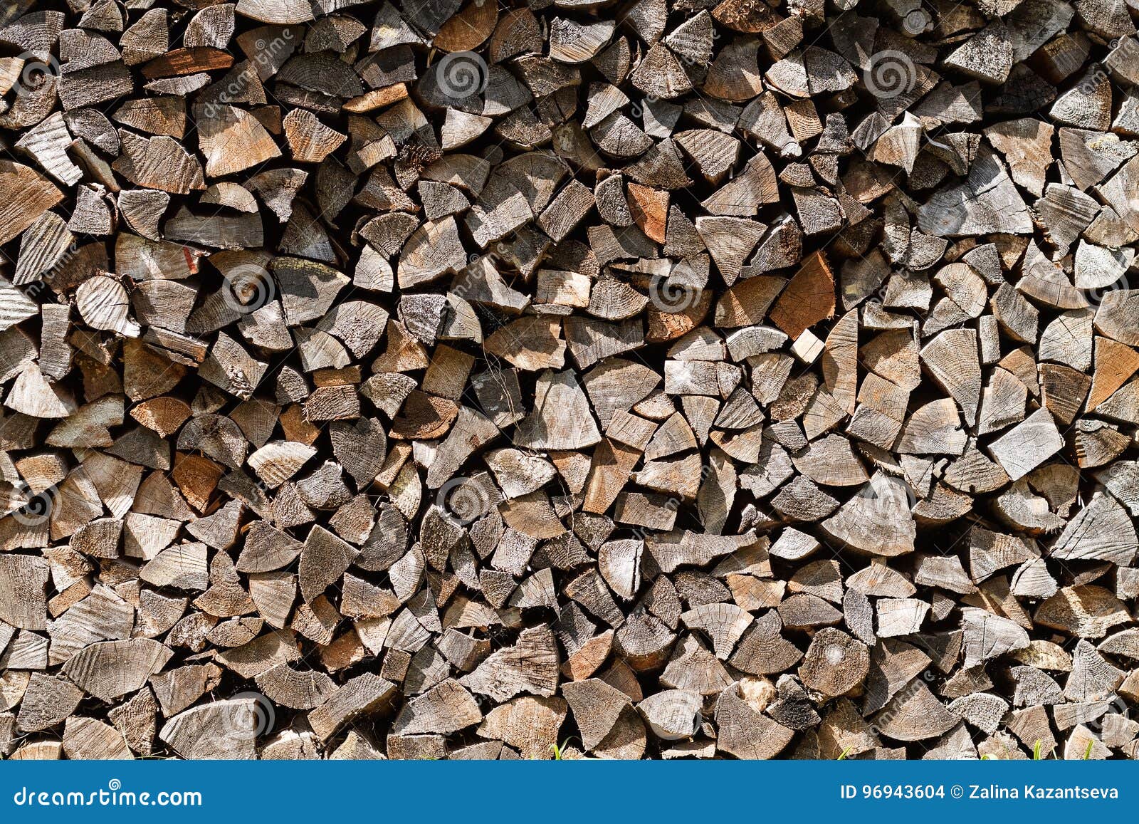 The Texture of the Log, Background Stock Photo - Image of bark ...